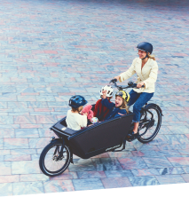 VOK Standard Cargo Electric Bike | Business eBikes